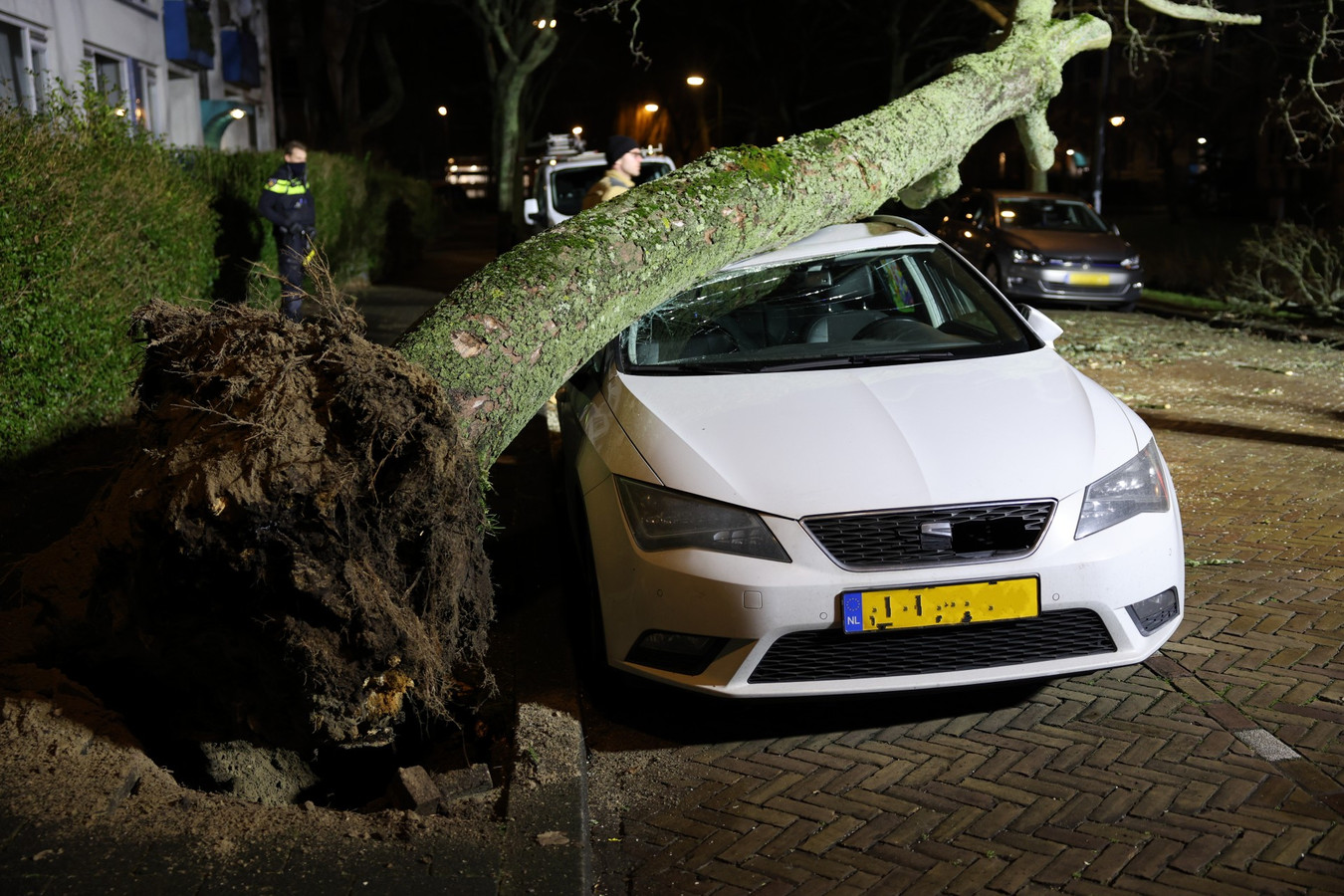 Boom valt op auto, losse dakdelen en gewonde scooterrijder: Storm zorgt ...