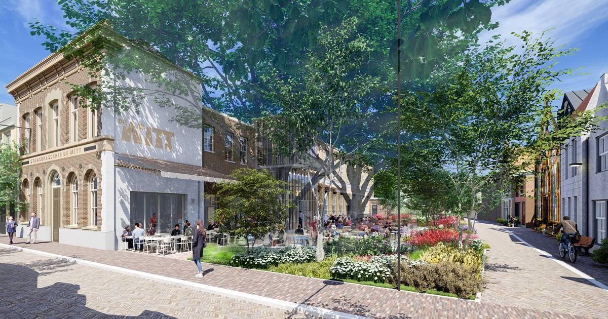 Volop actie in pand filmtheater en stadsbrasserie De Witt: ‘Was het ...