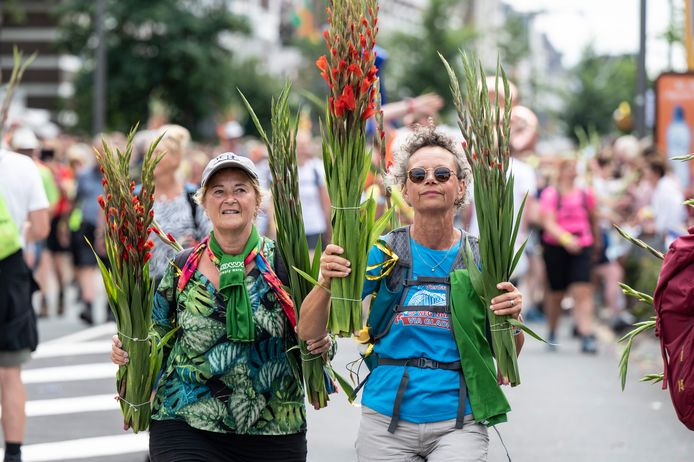 Mooi bloemennieuws voor de Vierdaagse: het is een goed jaar voor de gladiolen | 4daagse ...