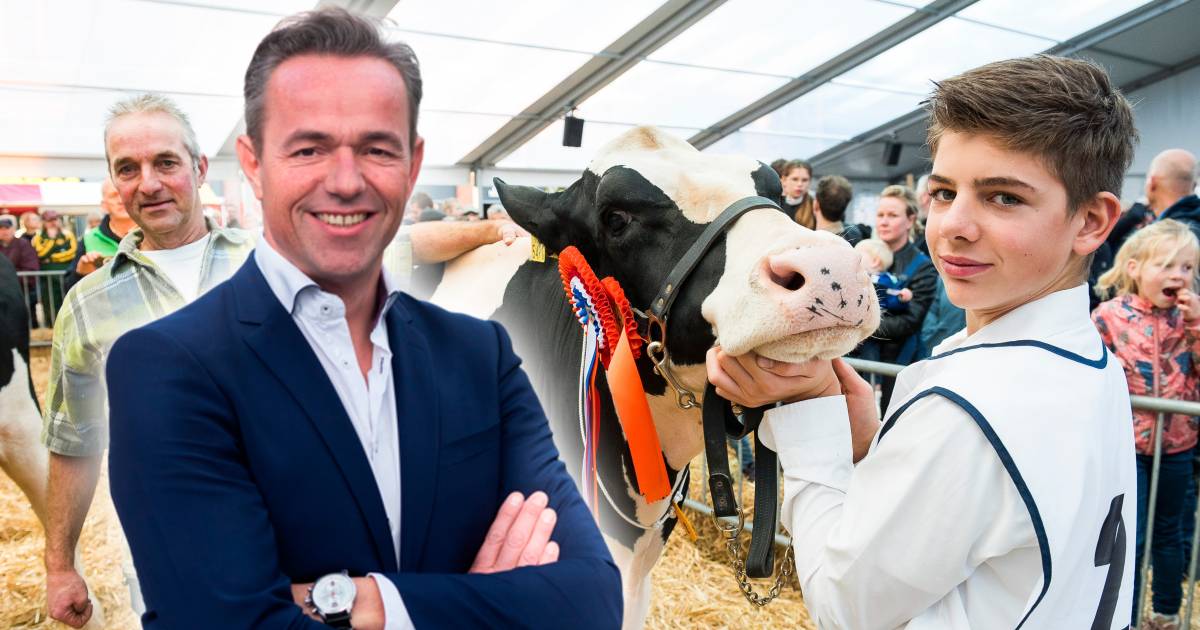 Wanneer zet de Woerdense Koeiemart een streep door de koeien? ‘Zet de ...