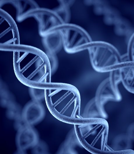 Van teeuw tot walfijn: de meest bijzondere kruisingen in dierenland ...