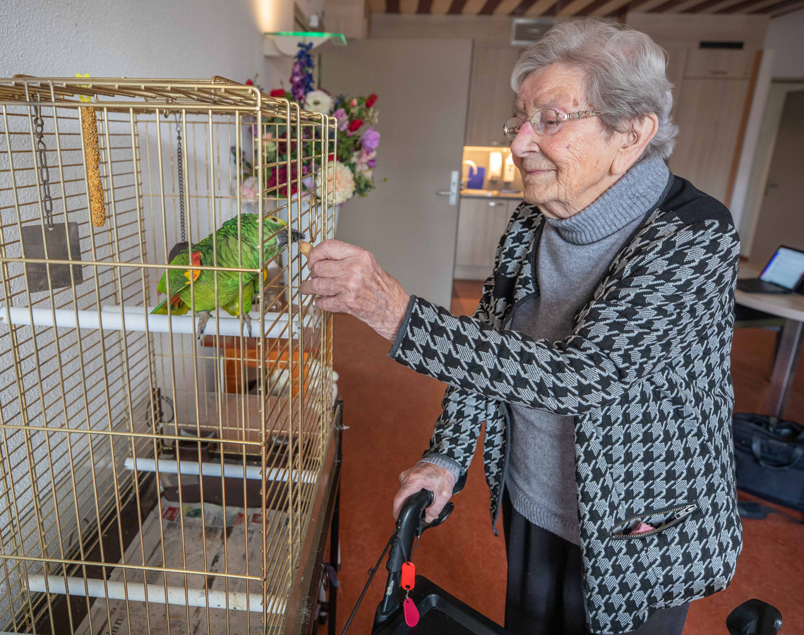 Zeeland telt 105 eeuwelingen. Maar is het leven nog wel leuk als je de ...