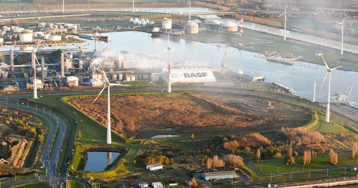 Chemiereus BASF in Antwerpse haven wil zelf medewerkers en eventueel ...