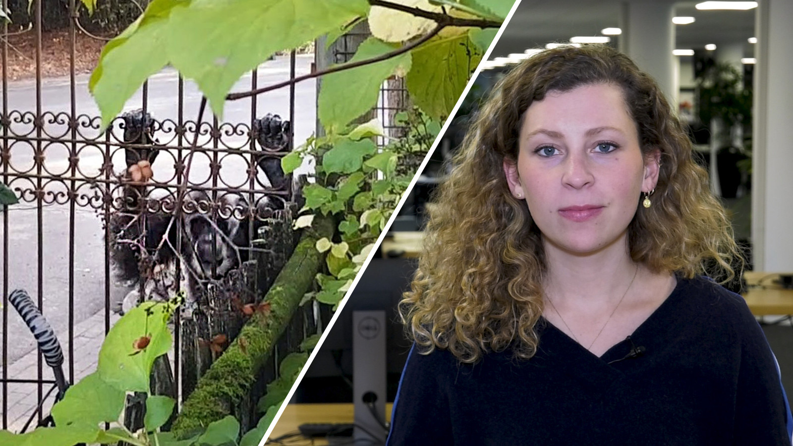 de Stentor Nieuws Update: Dit is de duurste villa van Deventer en ...