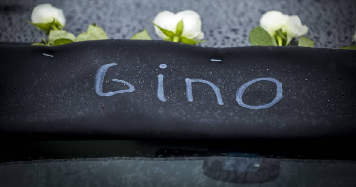 Moeder van omgebrachte Gino (9) dood aangetroffen in haar huis | Dood ...