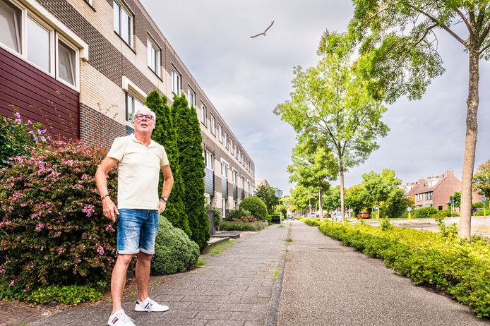Meeuwen die op ‘alles’ schijten en aanvallen, Herman is er klaar mee ...