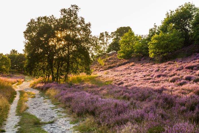 Alle dier- en plantensoorten in Nationaal Park voor het eerst in ...