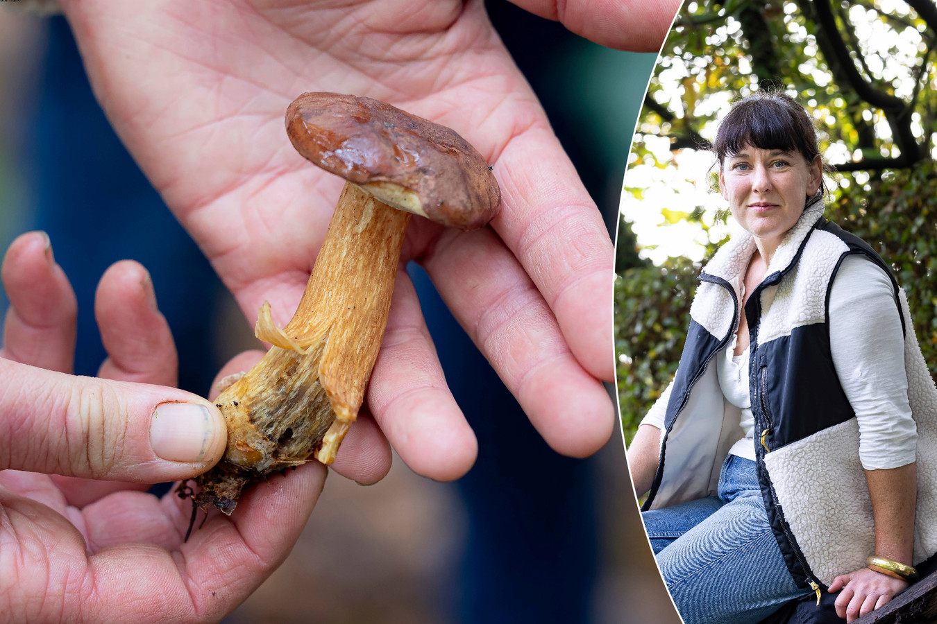 “In paddenstoelen zit veel water. Als de pan niet heet genoeg is gaan ...