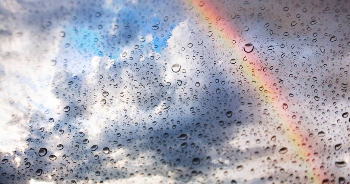 Roeselare wil inwoners aanmoedigen regenwater te hergebruiken via ... Roeselare wil inwoners aanmoedigen regenwater te hergebruiken via ...