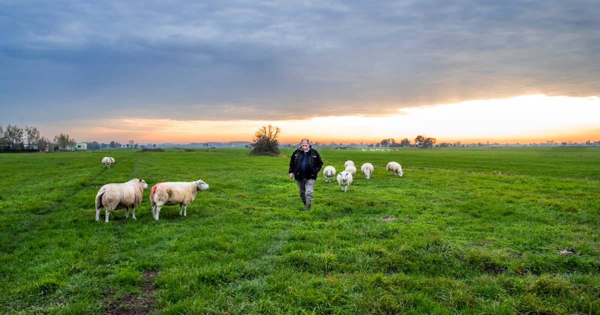 Wat zat én zit er in de bodem van polder Rijnenburg? Wie archeologische ...