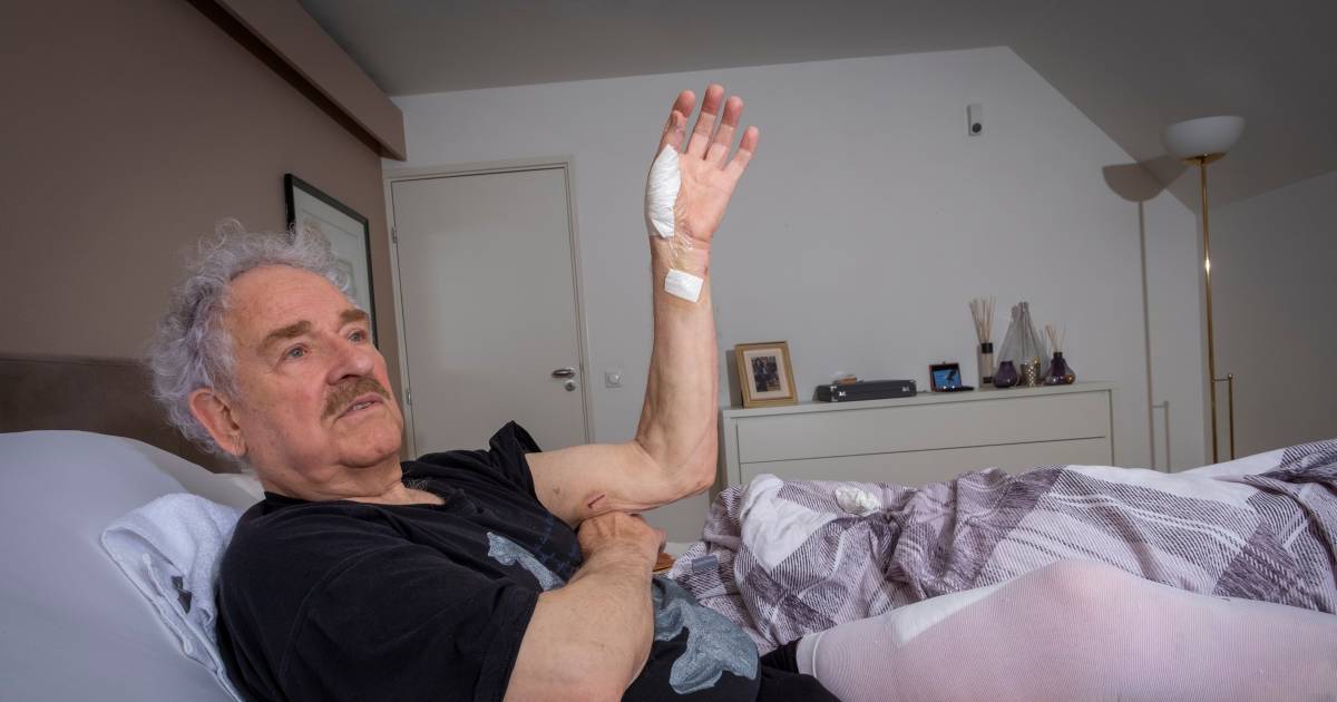 Brute zwijnenaanval na plaspauze in bos wordt André (80) bijna fataal ...