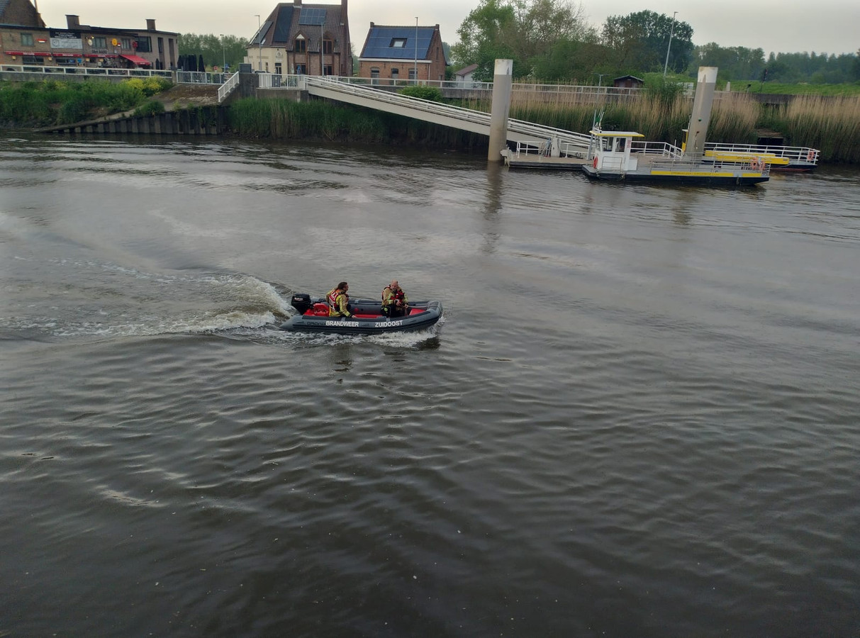 Dood schaap uit Schelde gehaald door brandweer | Foto | hln.be