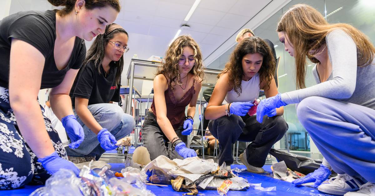 Avans-studenten ruimen zwerfafval op en vragen zich af: wat zegt dit ...