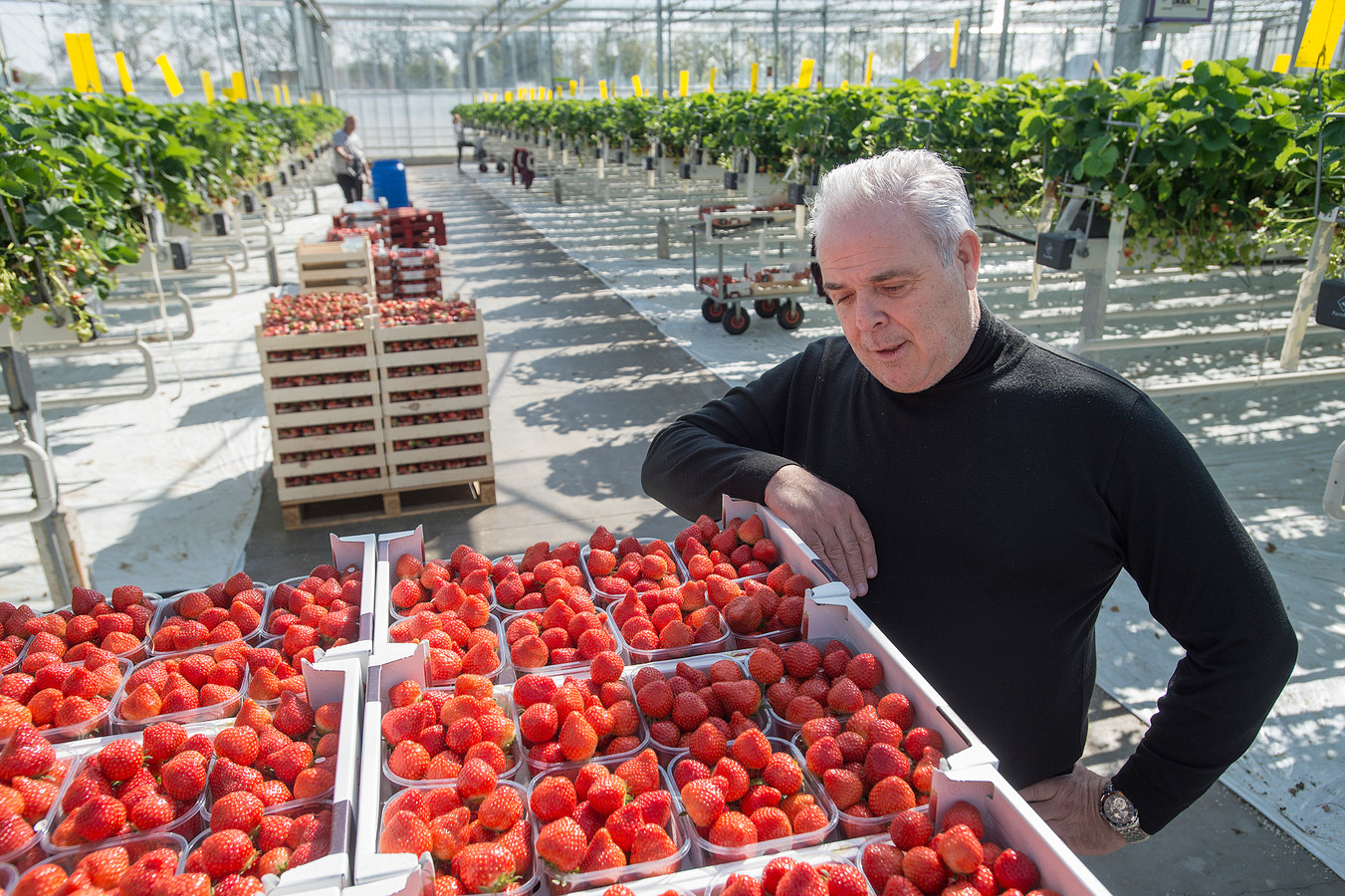 Ondernemer, levensgenieter en rallyman John Elst: ‘Haal eruit wat erin ...