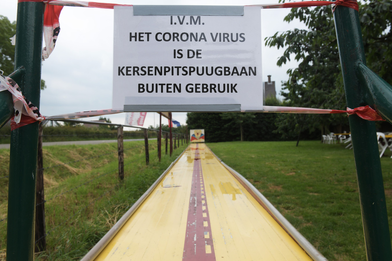 Kersen zijn rijp in Krommerijnstreek: ‘Heerlijk uitje op de fiets, weg ...