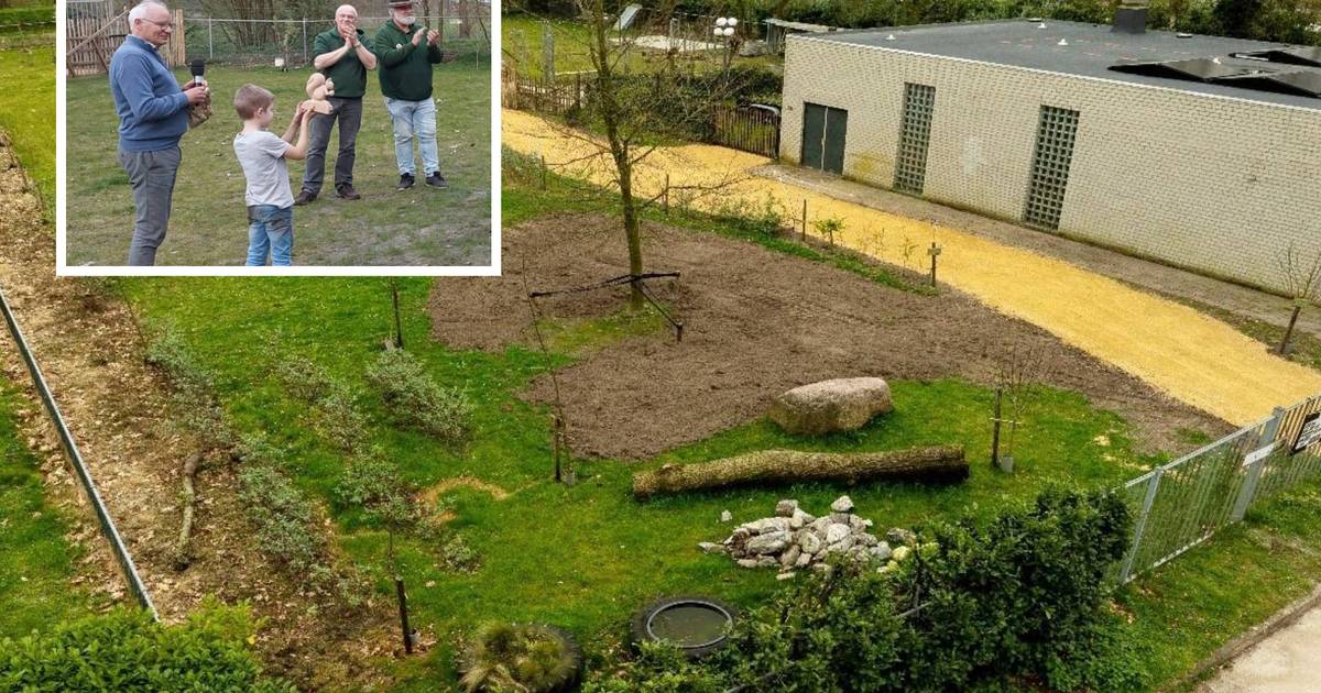 Scouting Moergestel wint prijs met biodiverse tuin: ‘Een enorme pluim ...