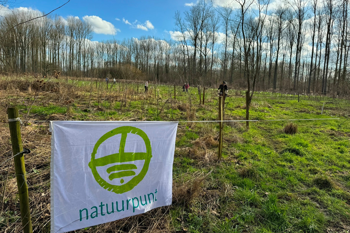 Tweeduizend bomen en planten moeten Geelstervallei iets droger maken ...