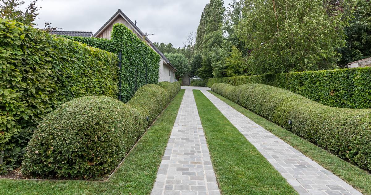 300 euro voor wie voortuin of oprit onthardt | Zulte | hln.be
