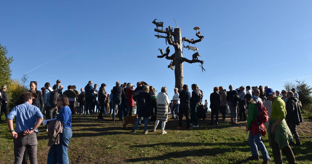 Kunst aan de Maas: levensboom eert landschap van Herbricht | Lanaken ...