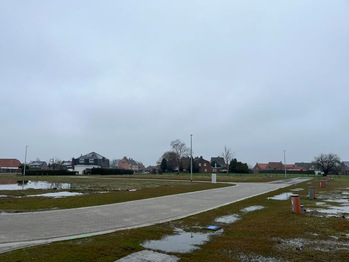Na twintig jaar komen er weer kavels op de markt in Kleirytse Driesen ...