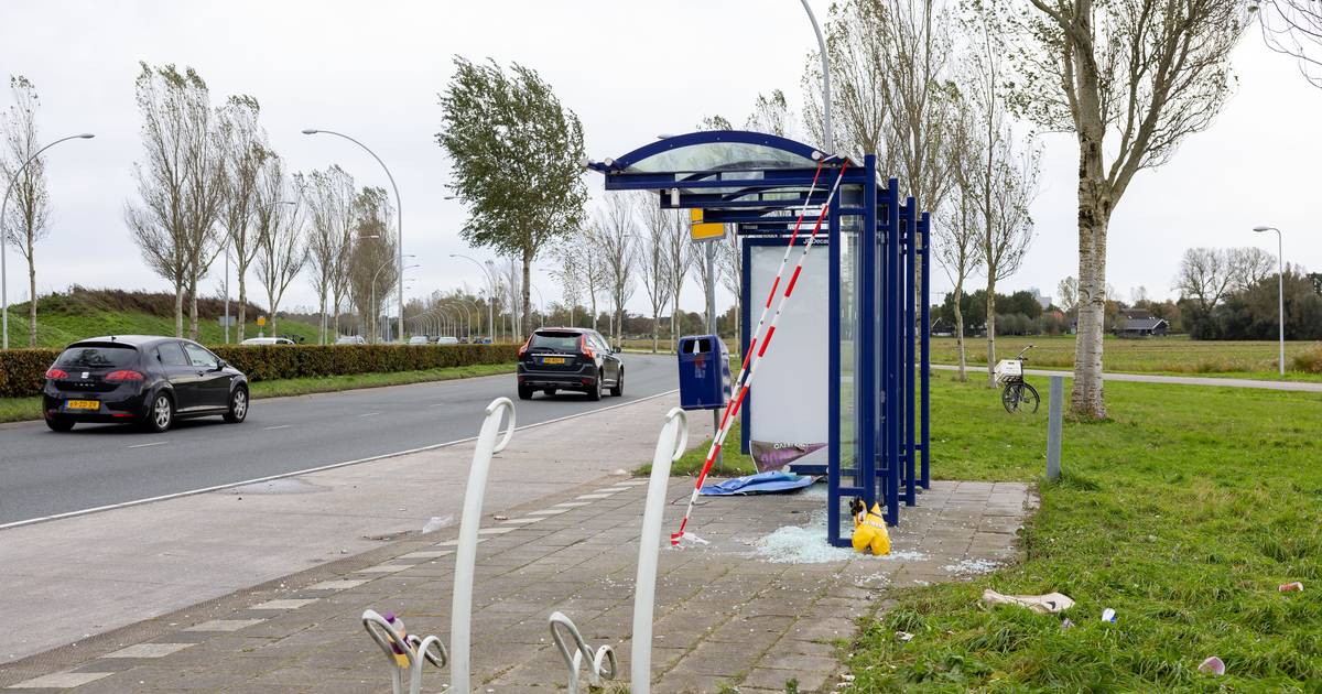 Bonje in de discobus in Zwolle: politie grijpt in en geeft jongeren ... Bonje in de discobus in Zwolle: politie grijpt in en geeft jongeren ...