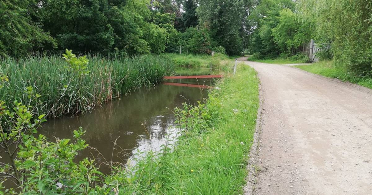 Molse Nete ter hoogte van Keulsekarstraat verontreinigd met zware ...