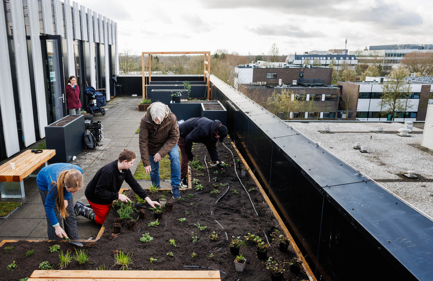 Smoothies en calendulazalf uit eigen tuin: Campus 013 is een dakterras ...