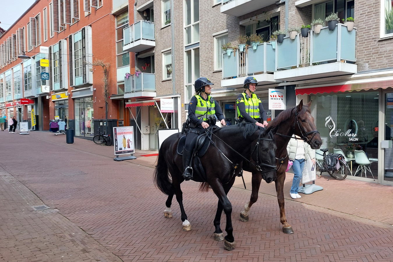 Gaan politiepaarden in de ban? 'Het zijn geen schilden of wapenstokken, maar levende wezens ...