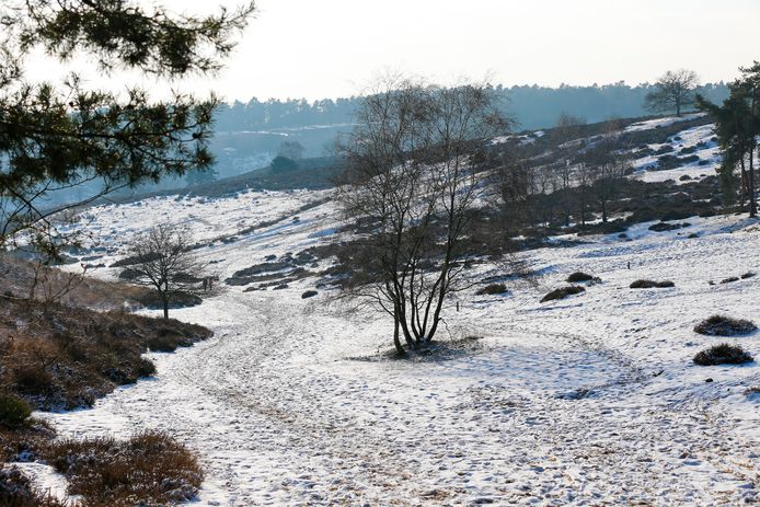 Al meer dan 525 inschrijvingen voor eerste kerstwandeling op Posbank ...