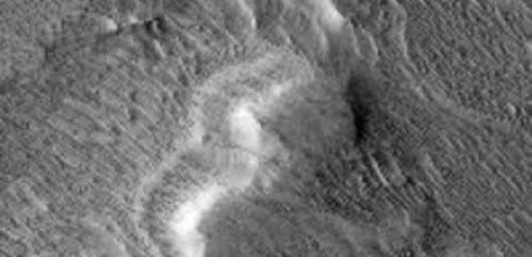 Hoe `bacterie op Mars¿ de wereld in komt | De Volkskrant