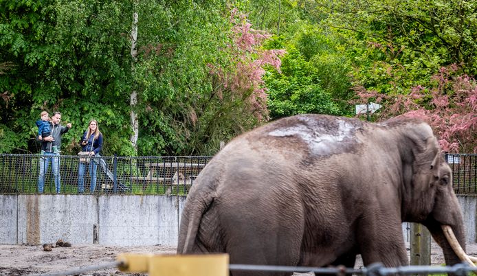 Bezoekers lieten Efteling links liggen met Pasen: hoe komt dat ...