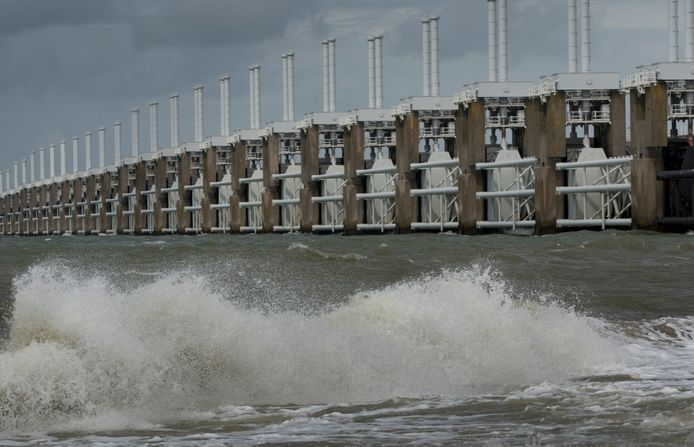 Nieuwe zeer giftige snoerworm in Oosterschelde | Zeeuws nieuws | pzc.nl