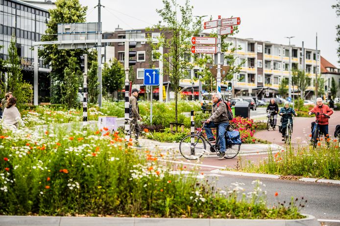 Arnhem steekt 2 miljoen euro extra in groen; ‘Stad wordt gezonder ...