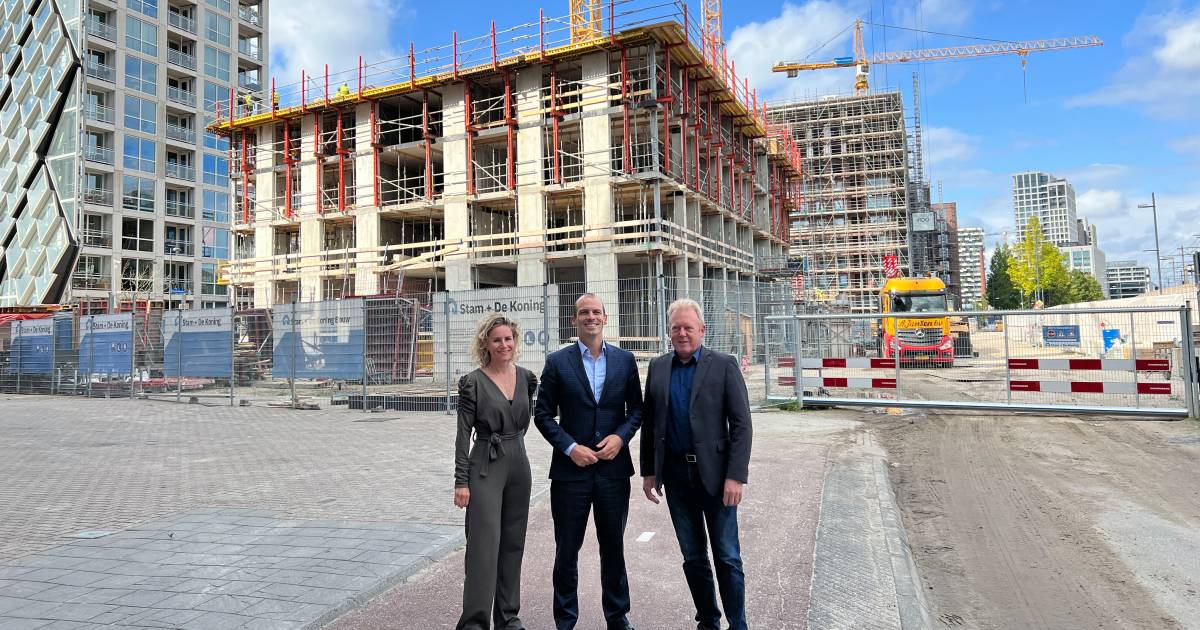 Eerste bouwplannen voor Fellenoord in Eindhoven gaan dit jaar naar de gemeenteraad; wethouder ...