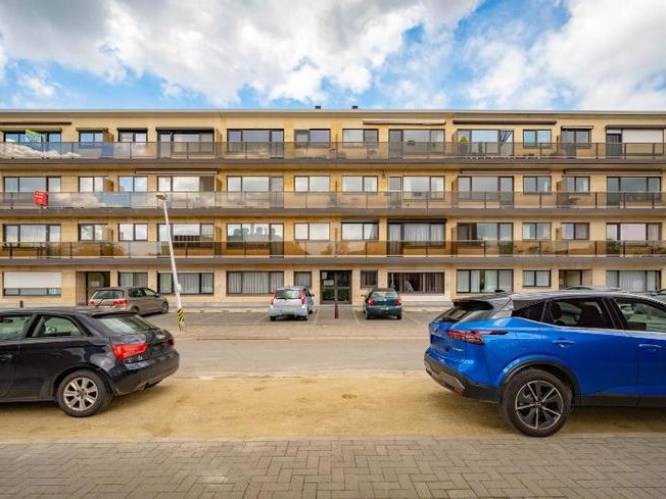 Dierenartsen Akuut verwijderen hersentumor bij kat met behulp van… 3D ...