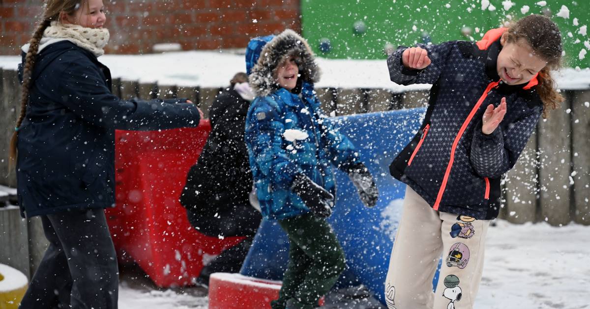 KIJK. Eindelijk sneeuwballen gooien en met de slee in het bos in Leuven ...