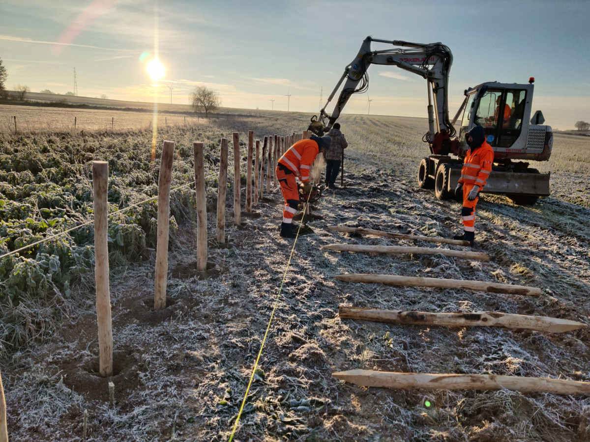 Houthakseldam moet modderstroom in Tongerse deelgemeenten voorkomen ...
