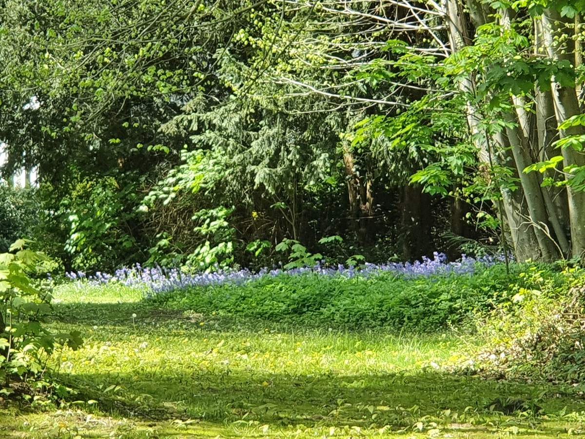 IN BEELD. Een unieke blik op het prachtige park achter ‘Villa Holganza ...
