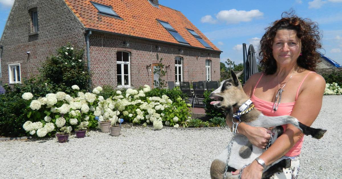 Hoevetoerisme op hof Boer Charel | Aalter | hln.be