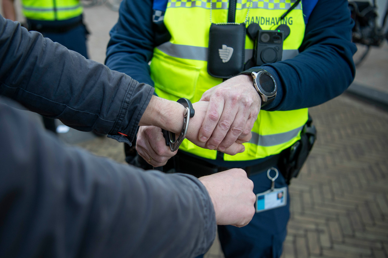Pepperspray en wapenstok: Overijssel wil dat boa's in buitengebied ... Pepperspray en wapenstok: Overijssel wil dat boa's in buitengebied ...