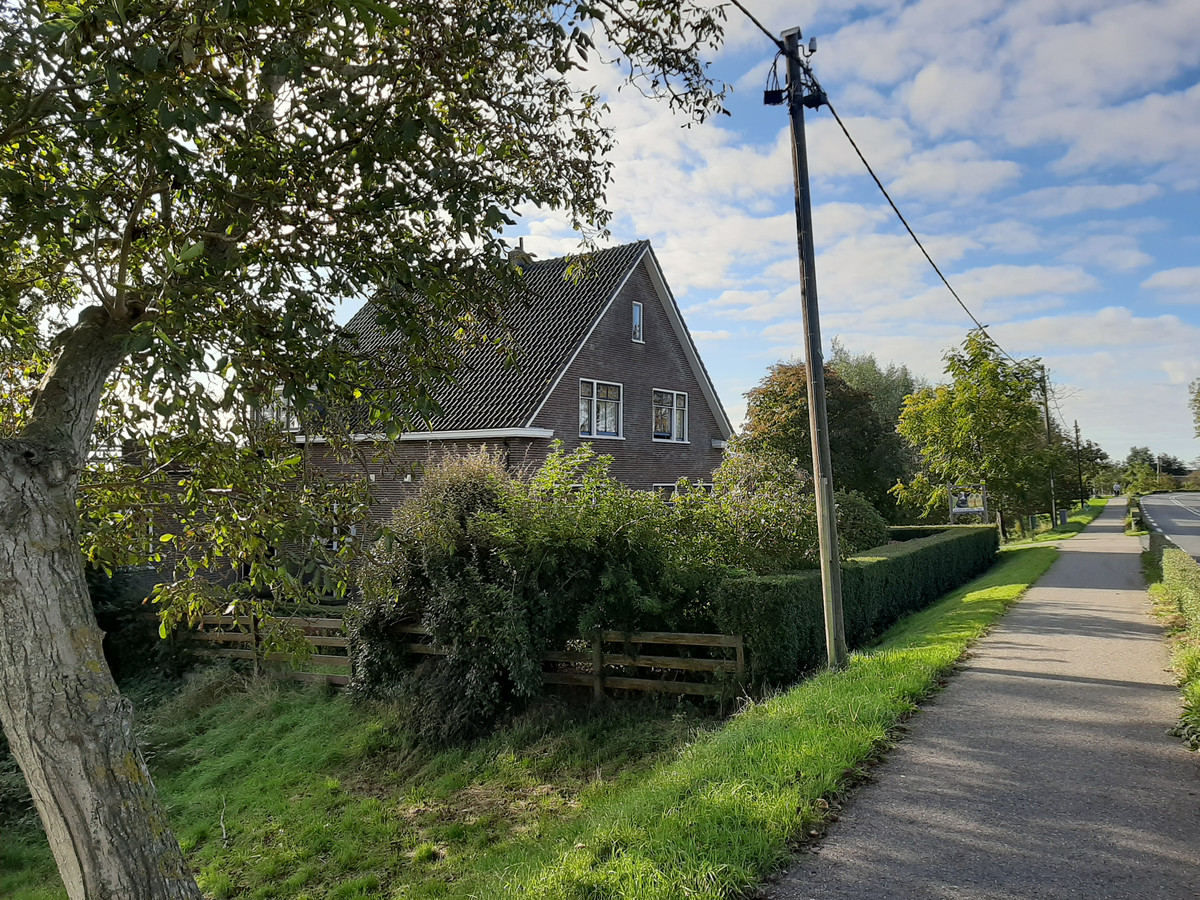 Biotechbedrijf gaat nazaten van wereldberoemde stier Herman (1990-2004 ...