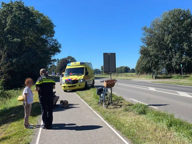 112 nieuws Zevenaar | gelderlander.nl