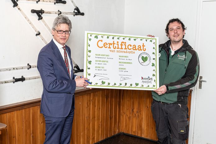 Al 2500 mensen adopteerden een mier: actie van DierenPark Amersfoort ...