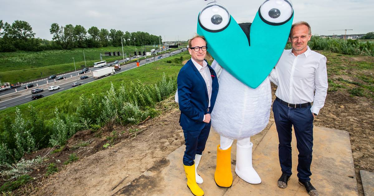 Waarom files door werken Oosterweel volgens Lantis goed nieuws zijn ...