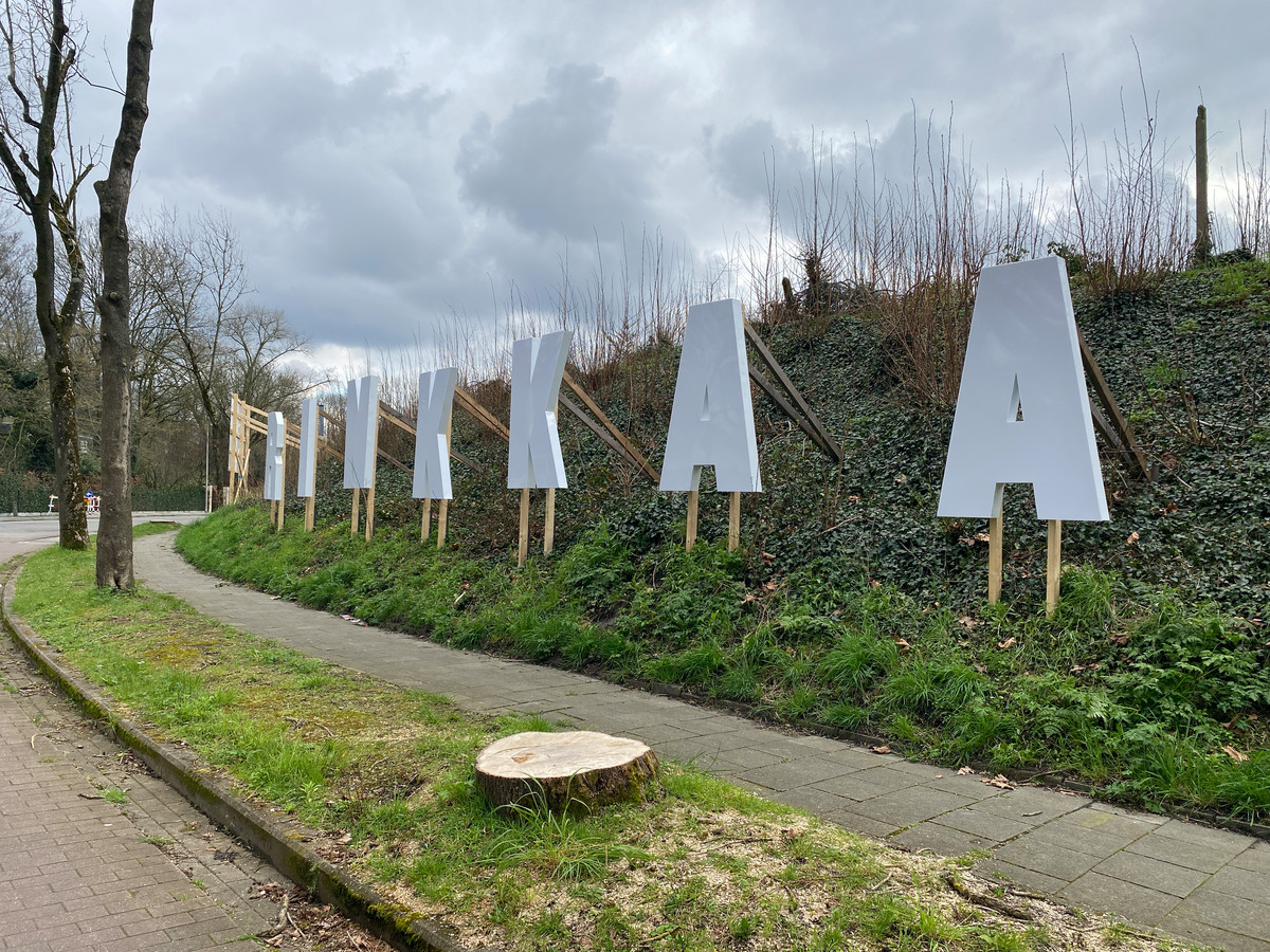 Bomen gekapt die voor promoborden staan in Gent: “Ze vangen meer wind ...