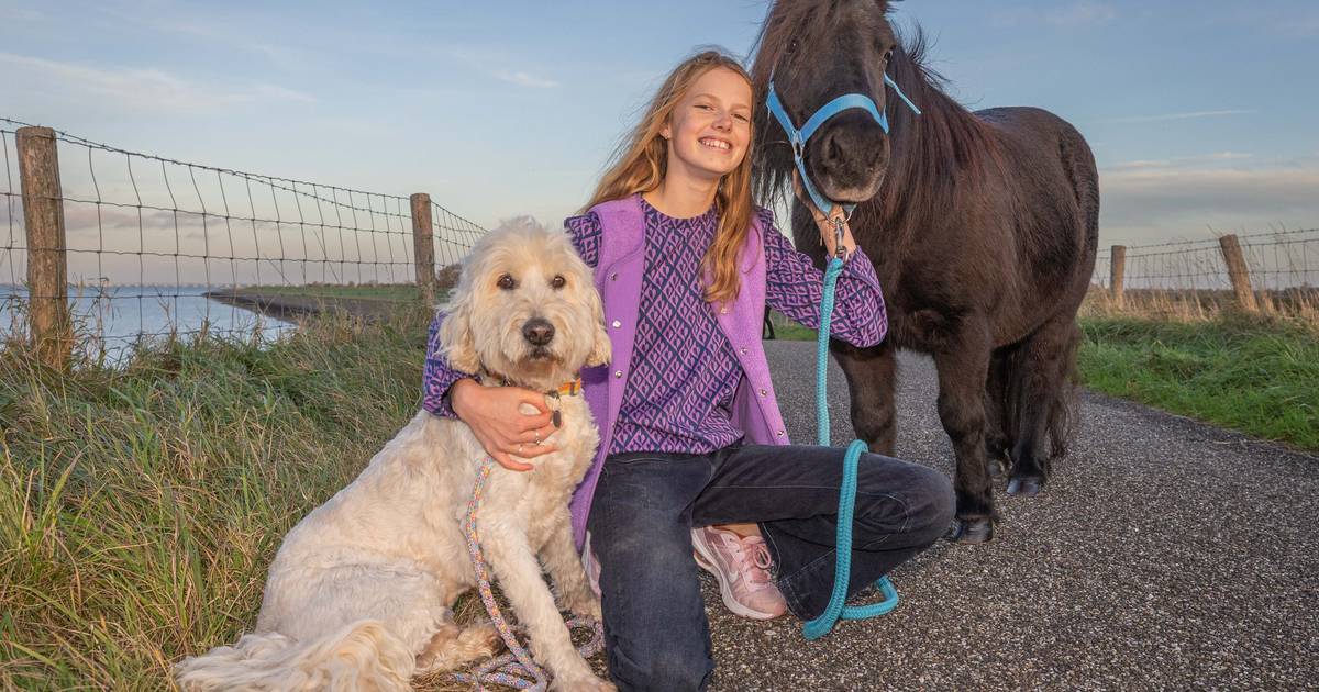 Mares de Regt is jong in Zeeland: ‘Het is hier lekker rustig’ | Noord ...