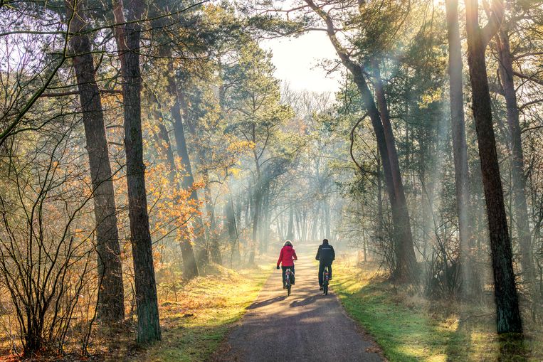 Van een herfstwandeling tot het spotten van de Gelderse Big Five: 5x ...