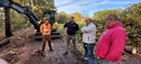 Boosheid over kap honderden gezonde bomen in Spijkenisse: ‘Er was ...