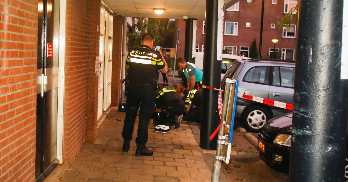 Man ernstig gewond bij steekpartij in Dordrecht | Dordrecht | bndestem.nl