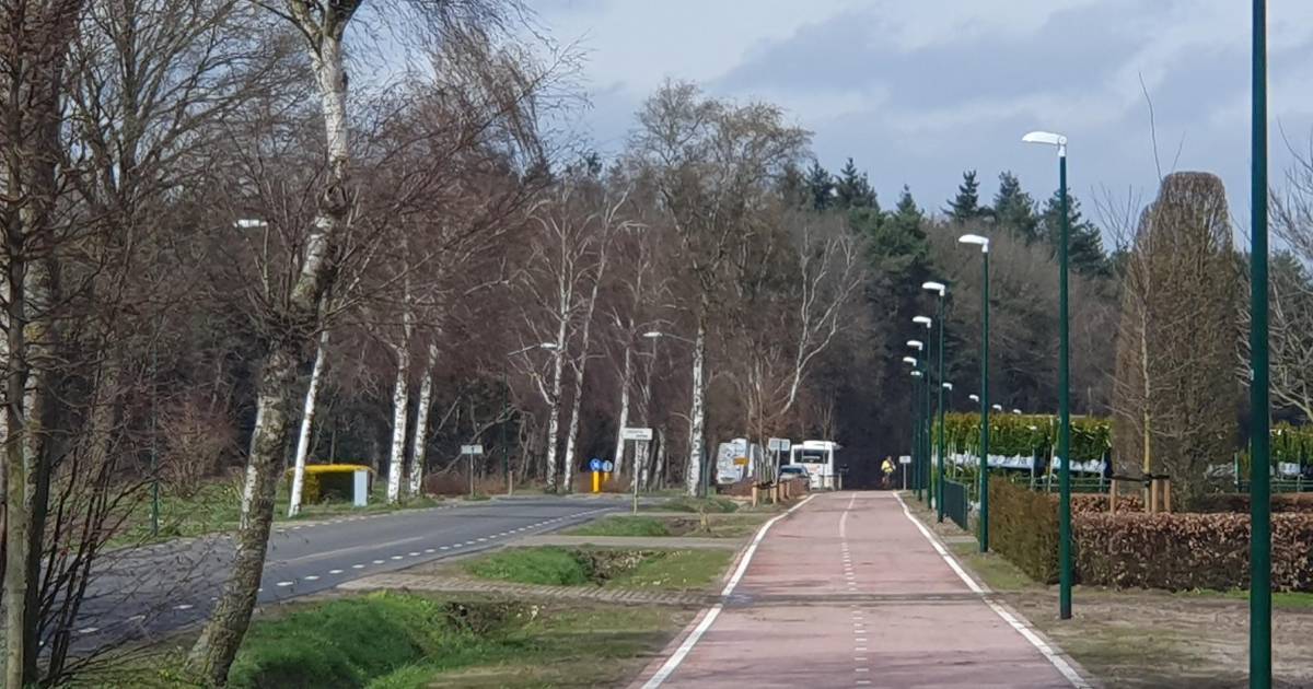 Nu ook verlichting fietspad Westerhoven-Riethoven | Bergeijk | ed.nl